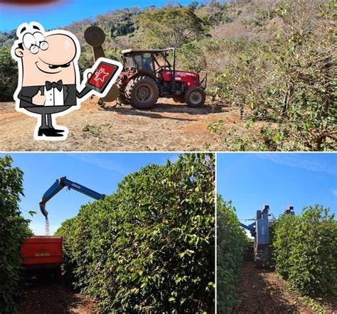 Ser Café Serviço Mecanizado e Colheita Para Cafeicultura Brasil