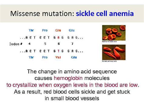 MUTATIONS And Their Consequences Mutation Definition