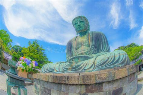 Early Summer Of The Great Buddha Of Kamakura Which Was Wrapped In Fresh