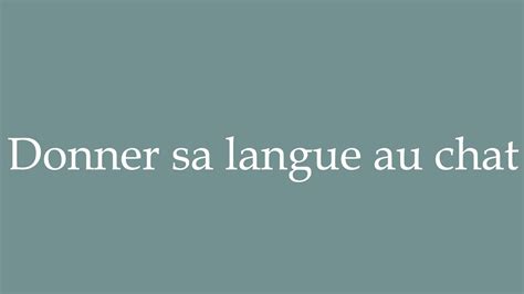 How To Pronounce Donner Sa Langue Au Chat Give Your Tongue To The