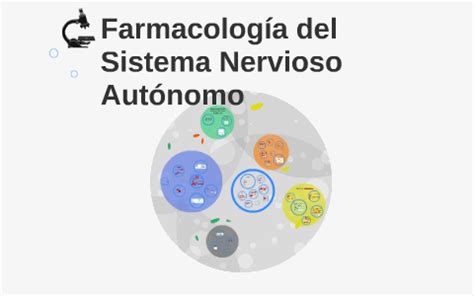 Farmacolog A Del Sistema Nervioso Aut Nomo By Valeria Gaytan On Prezi
