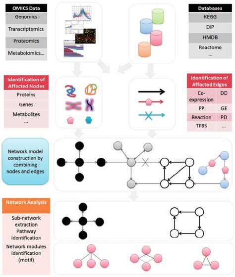 a schematic outlining the steps involved in omics data integration for download scientific