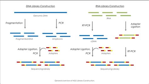 next generation sequencing ngs research at st michael s hospital