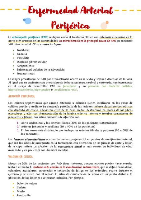Enfermedad Arterial Periferica EAP Dr Castro UDocz