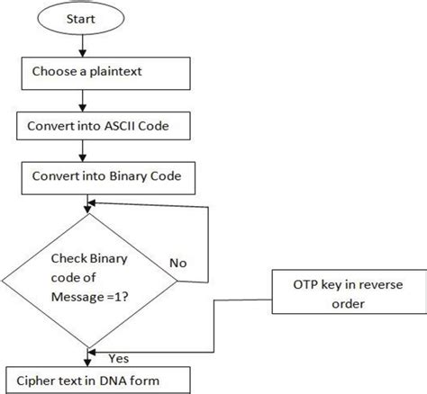 flow chart of dna hybridization encryption download scientific diagram