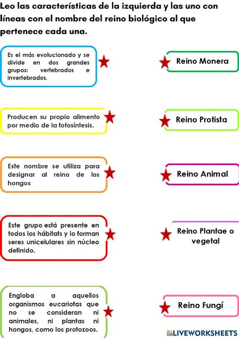 Reinos Online Activity Online Activities Activities Science