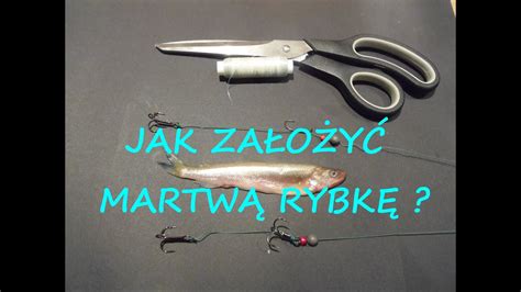 Jak Za O Y Martw Rybk I Zestaw Do Owienia Z Opadu I Poradnik