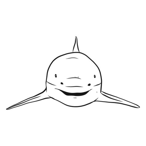 Dibujo De Aleta De Tibur N Descargar Png Svg Transparente