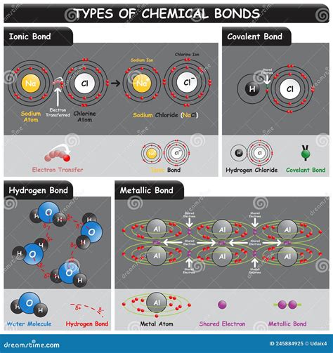 Types Of Chemical Bonds Infographic Diagram Stock Vector Illustration