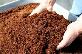 Substrato para plantas Afinal o que é substrato Mundo Naturarte