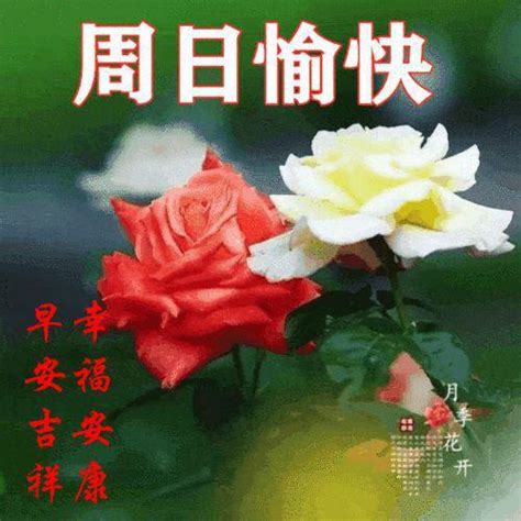 周日快乐早上好图片 配图网