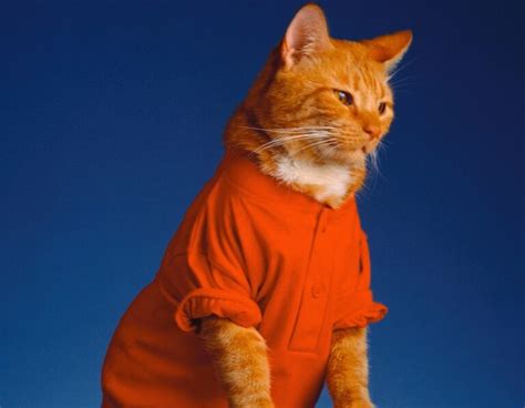 C Mo Se Llama El Gato De Gargamel Origen Y Curiosidades