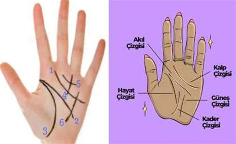 El Fal Nedir Nas L Bak L R K Keni Hint Astrolojisine Dayan Yor