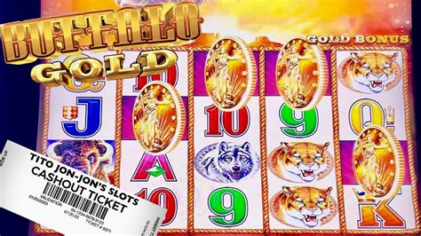 Buffalo Gold Collection The Search For 15 Gold Buffalo Heads Begins