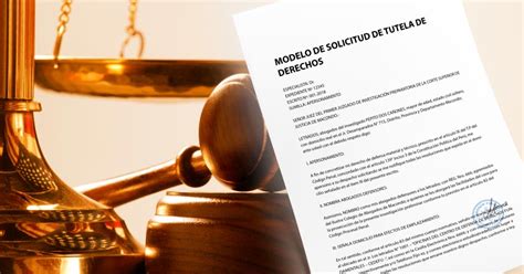 Modelo De Solicitud De Tutela De Derechos Escrito Actualizado