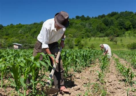 O Dia do Trabalhador Rural é comemorado anualmente dia 25 de Maio no