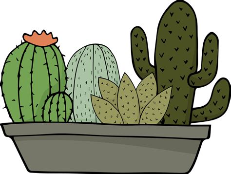 Flor De Cactus De Dibujos Animados Verdes Png Cactus Caricatura Porn