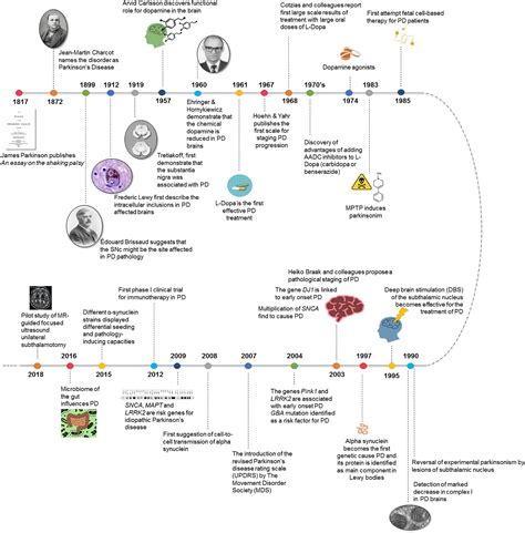 Frontiers Advances In Parkinsons Disease 200 Years Later