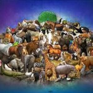 Animales Trivias Juego educativo Biología Mobbyt
