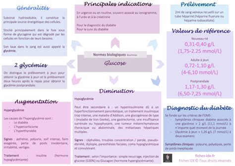 6 Schéma Glucose 2 Fiches IDE