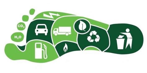 Tú dejas una Huella Ecológica Qué es y cómo puedes calcularla