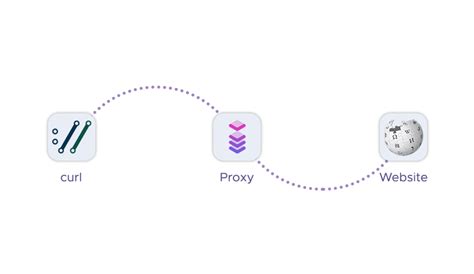 How To Use CURL With Proxy Step By Step Tutorial On Proxy Integration