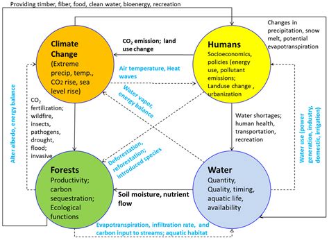 Forests Free Full Text Forest Management Challenges For Sustaining