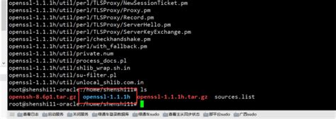 在ubuntu18系统升级openssh版本并且解决ssh升级后无法重启ssh服务的问题 运维的智慧