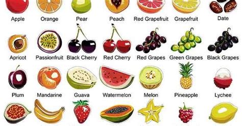 Nama Buah Buahan Dalam Bahasa Inggris A Sampai Z Pelajari Inggris