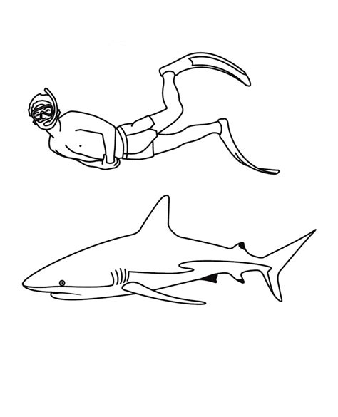 Dibujos de Tiburón y Buzo para Colorear para Colorear Pintar e