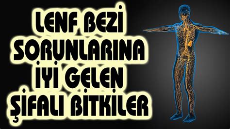 Lenf Bez Sorunlarina Y Gelen B Tk Ler Youtube