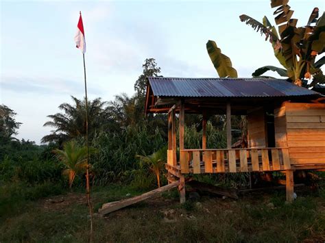 Detail Contoh Pondok Kebun Koleksi Nomer 26