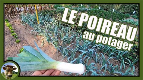 Une Culture De Poireaux Au Potager Semer En P Pini Re Habiller