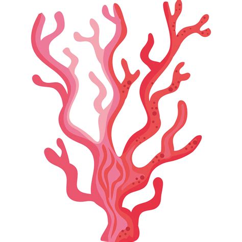 Plante D Algue Rouge Png