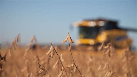 3 inovações que estão revolucionando o agronegócio