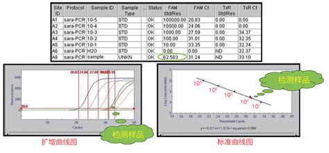 qPCR技术介绍五绝对定量与相对定量