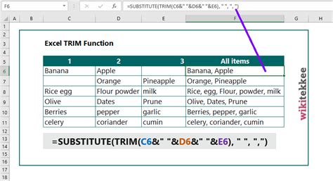 Excel TRIM Function 5 Examples Wikitekkee