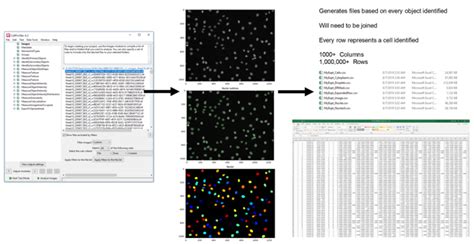 Figure 3 Schematic Of Using Cell Profiler Assay Guidance