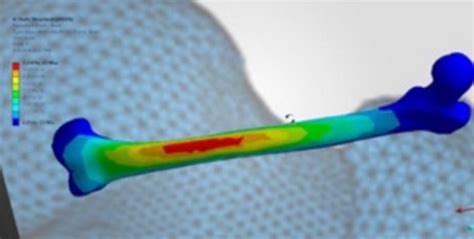 tecniche di modellazione mesh morphing e statistical shape intensity il webinar gratuito ansys