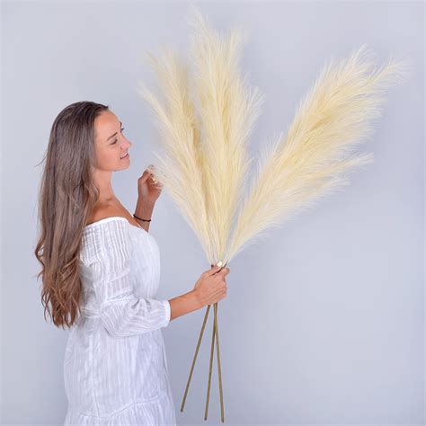 Buy Large Pampas Grass Decor Tall Set Beige Tall Pampas Grass