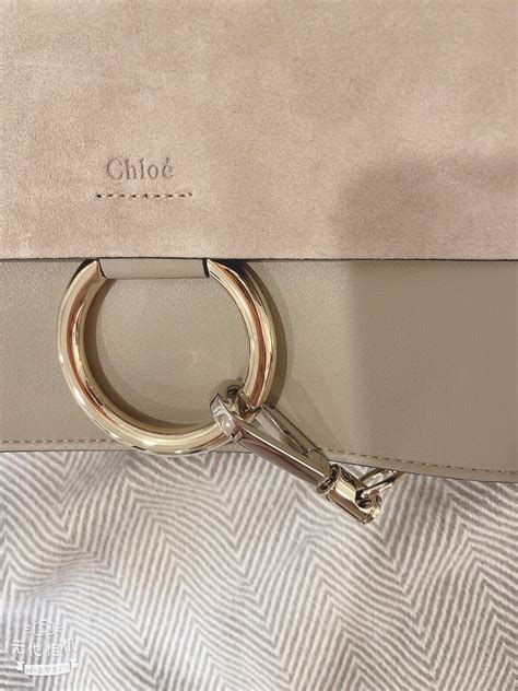 Chloe Faye Mini Chain Bag In Smooth Suede Calfskin Chc Ss H O
