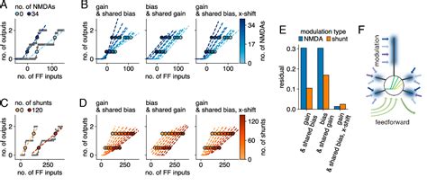 figure 2 from nmda driven dendritic modulation enables multitask representation learning in