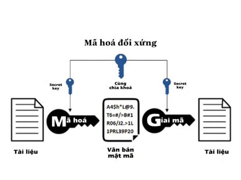 Mã hóa dữ liệu là gì 4 phương pháp mã hóa dữ liệu phổ biến nhất hiện nay