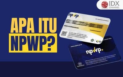 Apa Itu NPWP Jenis Fungsi Dan Cara Mendapatkannya