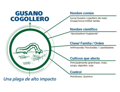 Características del gusano cogollero IAUSA