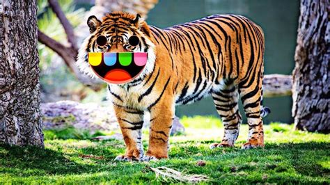 Toca Boca Intro Sound Variations In 30 Seconds YouTube