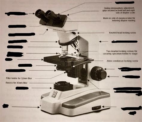 Parts Of The Microscope Diagram Quizlet