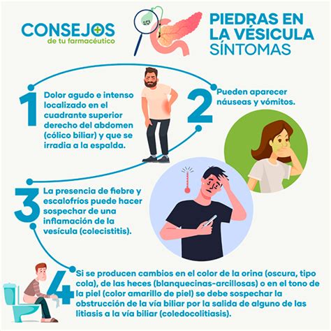 Piedras en la vesícula síntomas extirpación dieta y tratamiento