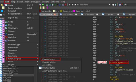 13 Use IDA For Dynamic Debugging And Reverse Debugging Part 1 3