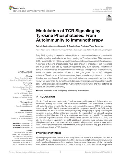 PDF Modulation Of TCR Signaling By Tyrosine Phosphatases From
